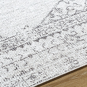 Livabliss x Our PNW Home Olympic Updated Traditional Area Rug, 9'2" x 12', Off-White