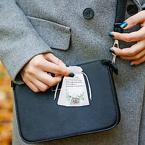 Fumete 30 Sets St Patricks Day Gifts Good Luck Pocket Tokens Irish Lucky Four Leaf Clover Coins with Blessing Cards and Bags Lucky Pocket Token for Family Friends Employee Coworkers Gifts(30 Pcs)