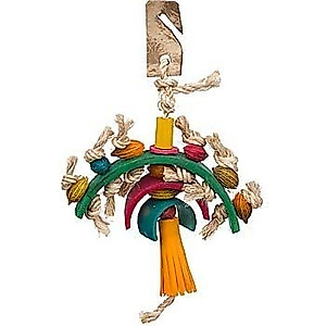 Planet Pleasures 41183 Rainbow Pet Toy, Large