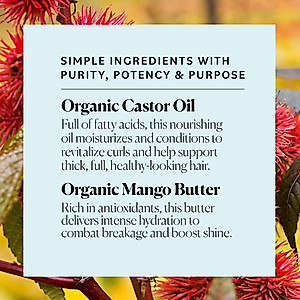 Sky Organics Curl Care Bio-Based Treatment Mask for Hair USDA Certified Bio-Based to Repair, Strengthen & Soften Curls, 8 fl. Oz