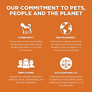 Bundle of GO! Solutions Skin + Coat Care Salmon - Dry Dog Food 12lb + GO! Solutions Skin + Coat Care Salmon - Dry Dog Food 3.5lb