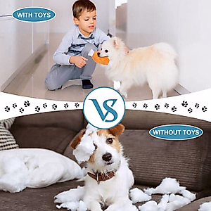 BUIBIIU Dog/Puppy Teething Toys, Assorted Chew Toys, 6 ct