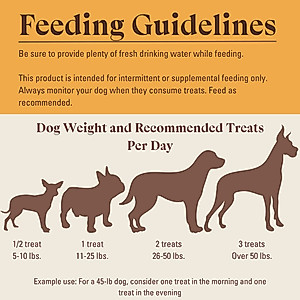 OTIS Venison Jerky for Dogs | Protein Packed, Pasture-Raised, Grass-Fed Venison Jerky Dog Treats Healthy Dog Treats - Wild Things | 4 Ounce Bag