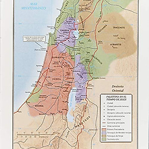 RVR 1960 Biblia de Estudio Scofield, tapa dura (Spanish Edition)