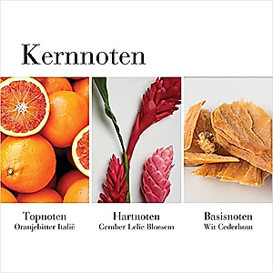 Elizabeth Arden White Tea Ginger Lily Eau de Toilette Spray, Perfume for Women, 1 oz.