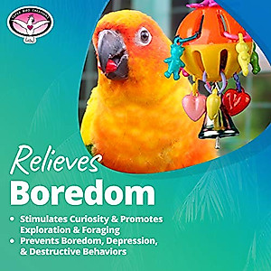 Super Bird Creations SB1086 Having a Ball Bird Toy, Small/Medium Bird Size, 6" x 2" x 2"