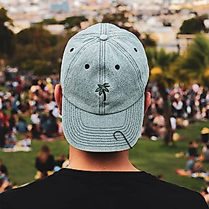 4 PCS Hat Clip Hats Pins Fish Hook Hooks Custom Hook Set High Carbon Steel, Silver, Black