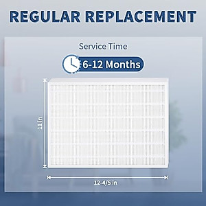 2 Pack C545 True HEPA Replacement Filter S Compatible with Winix C545, B151, P150, 9300 Air Purifier Replacement for Winix S Filter Part 1712-0096-00 and 2522-0058-00