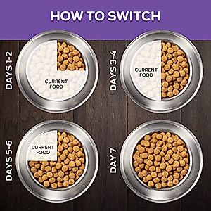 Purina Pro Plan Veterinary Diets DH Dental Health Small Bites Dog Food Dry Canine Formula - 6 lb. Bag