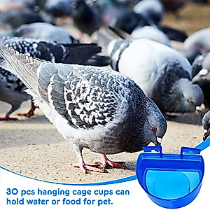 30 Pcs Cage Cups Bird Feeders Chicken Water Feeder Bunny Food Bowl Plastic Seed Bowl Hanging Chicken Feeding Watering Dish Feeders, Bird Cage Feeding Cups for Parrot Parakeet Pet Poultry Pigeon, Blue