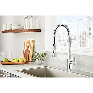 Parma 1H Pre-Rinse Pull-Down Kitchen Faucet 1.75gpm Chrome