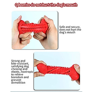 Teething Buddy: Dental Dog Chew Bone Toy for Puppies. (Green)