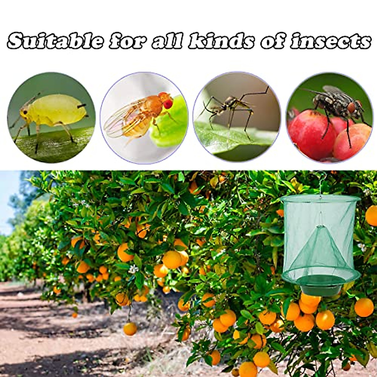 6Pack Ranch Fly Trap - Reusable Fly Trap with Tray for Indoor Outdoor Hanging Farms,Stable,Garden,Orchard,Park