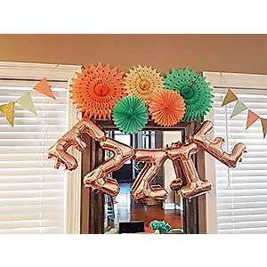 Furuix Mint Peach Baby Shower Decorations Mint Cream Peach Tissue Paper Fans Mint Peach Birthday Decorations Wedding Gender Reveal Bridal Shower Bachelorette Decorations Mint Green Peach Party Decor