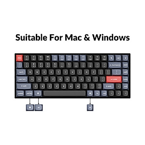Keychron K2 Pro QMK/VIA Wireless Mechanical Keyboard, Custom Programmable Macro Wired Keyboard with Hot-Swappable K Pro Blue Switch White LED Backlight PBT Keycaps for Mac Windows Linux