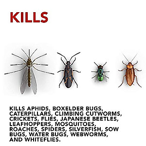 Raid House and Garden Aerosol, 11 OZ, Pack of 3