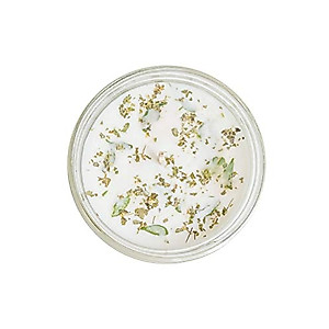 My Lucky Charm - Cleansing Palo Santo with Rue (Ruda) Herbs - Large Candle for Healing, Good Luck and Protection - 12 oz. Soy Candle in a Kraft Box