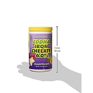 Grow More GL556546 6546 EDDHA Iron Chelate, 1-Pound, Purple