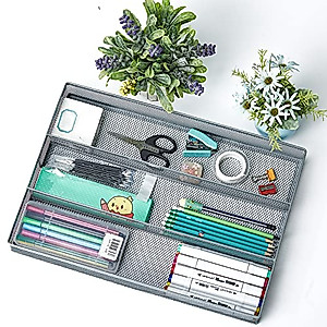 SETTFRFE 2P Metal Mesh Drawer Organizer,Flatware Organizer,Silverware Holder,Kitchen Eating Utensils Tray for Drawer,Silver (2P)