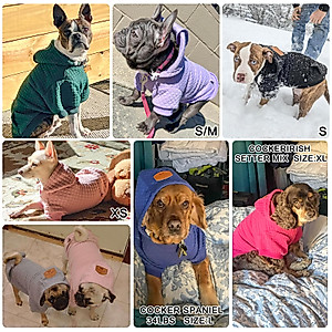 BEAUTYZOO Dog Hoodie for Small Medium Large Dogs, Winter Fall Warm Dog Clothes for Puppy S M Sized Dogs Girl Boy, Dog Sweater Shirt Hoodies with Pocket Bulldog Pitbull Cat Clothing Coat
