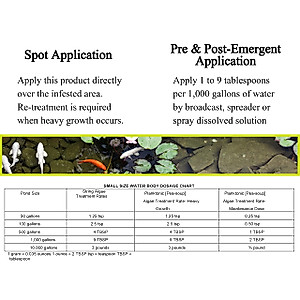 Green X – 1lb - String Algae Remover for Koi Ponds, Fountains, Waterfalls, Water Features- Safe for Fish Contact Algae Control- Treats up to 16,000 Gallons - Concentrated Granular Algaecide