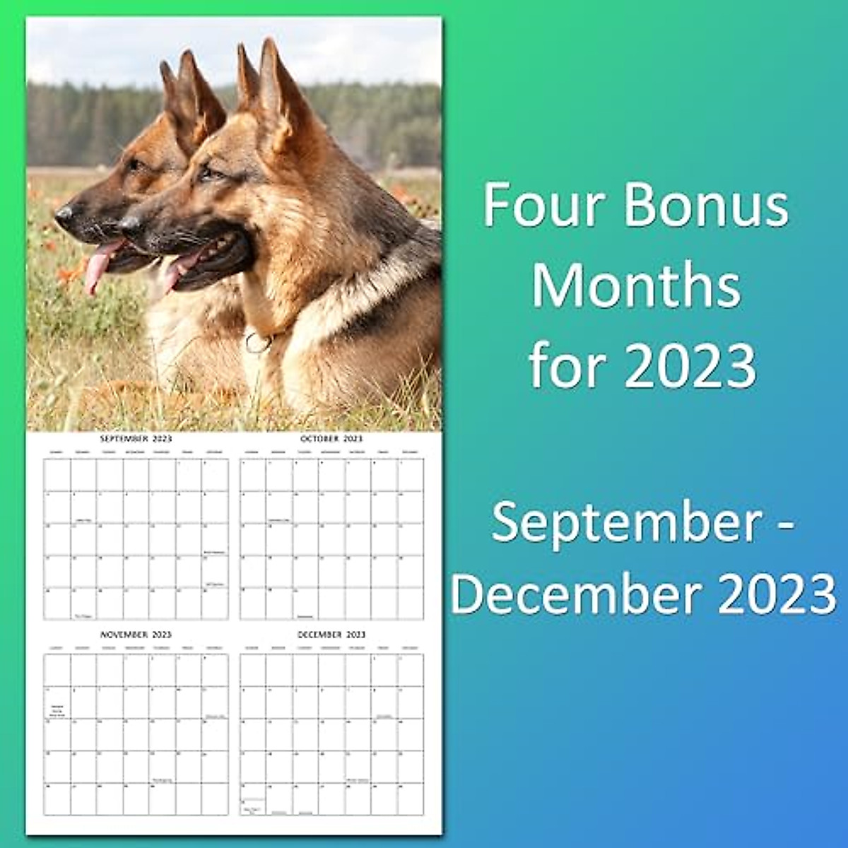 DOGS Monthly Wall Calendar | 12" x 24" | Thick Sturdy Paper | Dog Calendar 2024-2025 (Shepherds)