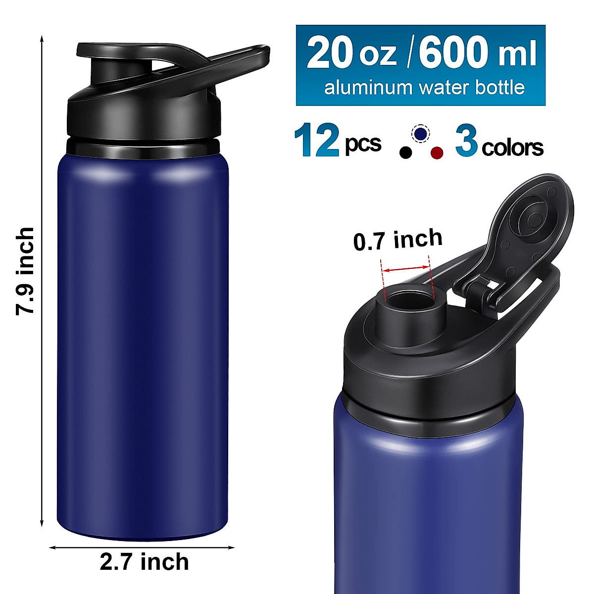 CHENGU 12 Pieces 20 oz Aluminum Water Bottles Set Metal Sports Bike Water Bottle Reusable Travel Bottles with Lid for Gym Sports Camping Hiking Fishing