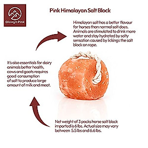Glowyn Himalayan Salt Lick-Natural Minerals Block on Rope - 4.0 lbs. (6 Packs) - Great for Horses, Cattle, and Live Stock– Long Lasting – Pink Salt Lick