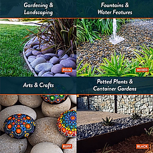 Mexican Beach Pebbles | 20 Pounds of Smooth Unpolished Stones | Hand-Picked, Premium Pebbles for Garden and Landscape Design | Black Buttons, 1/2 Inch - 1 Inch