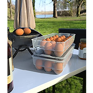 Clear Covered Egg Holder 3-Pack, Plastic Egg Storage for Refrigerator, Egg Tray Container with Lid, Fits 18 Eggs