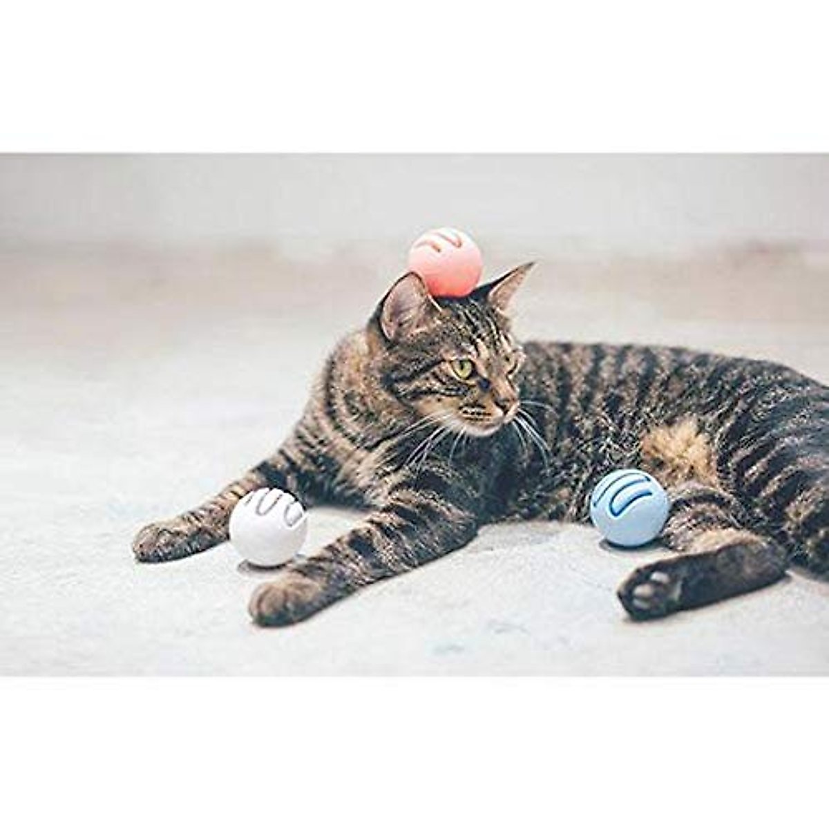 Pet Supplements cat Nutrient - CAT Turmeric for Joint Health - Advanced Joint Support - cat Immune System Support - 2 Bottles (120 Tablets)