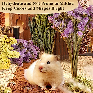Sukh Nature Flower Herb Hamster Bedding Decor Hamster Habitat Decor Mate Small Animal Habitat Decor Hamster Cage Mate Natural Hamster Sprays for Syrian Dwarf Hamsters Gerbils Rabbit Other Small Pets