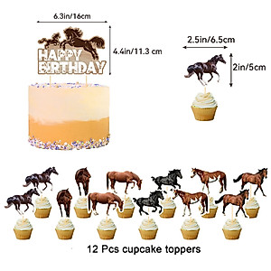 Horse Birthday Party Supplies Set with Horse Theme Happy Birthday Banner Balloon Cake Topper Cupcake Topper Background for Horse Party Decoration