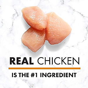 Nutro Natural Choice Senior Dry Dog Food, Chicken & Brown Rice Recipe Dog Kibble, 13 lb. Bag