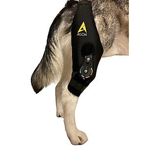 AGON Dog Knee Brace – Professional Knee Support Brace for Dogs with Adjustable Hinge Stabilizer – Premium Neoprene Hip Brace for Knee Support, Dog Recovery, and Joint Support (Right Leg, X-Large)