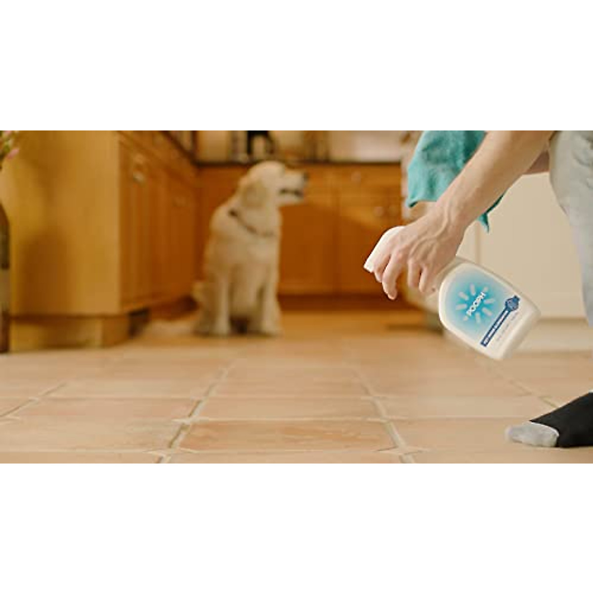 Pooph Kitty Litter Box Deodorizer, 32oz Spray - Dismantles Odors on a Molecular Basis, Cats, Freshener, Eliminator, Urine, Poop, Pee, Deodorizer, Natures, Fresh, Clean, Furniture, Potty, Safe