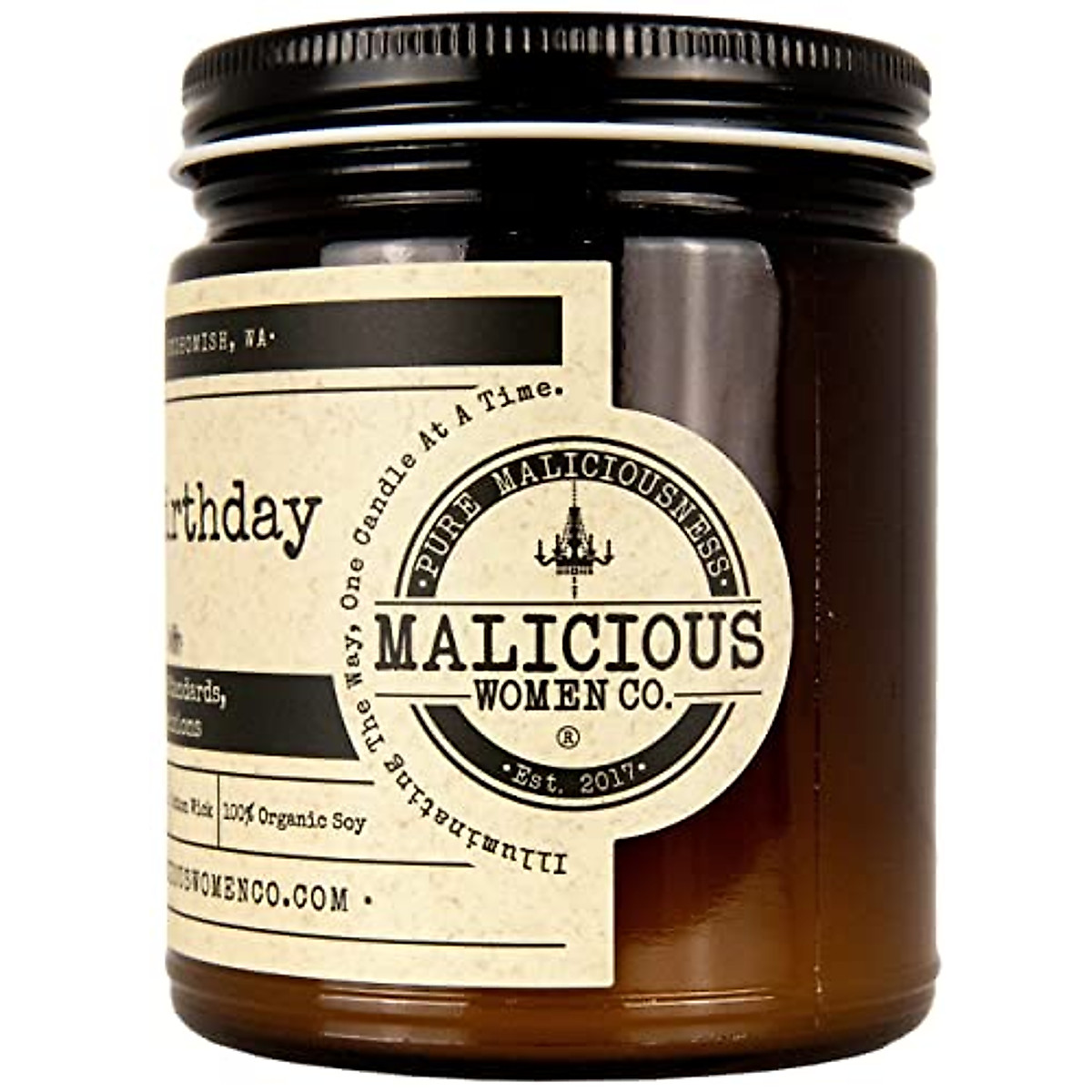 Malicious Women Candle Co - Happy Birthday, Vanilla Cupcake Infused with Alcohol, Low Standards, and Poor Decisions, All-Natural Soy Candle, 9 oz