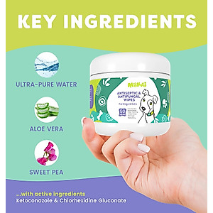 MOKAI Antiseptic Wipes for Dogs Cats and Horses | Dog Chlorhexidine Wipes with Ketoconazole Dermatological Pads Hot Spots Itchy Paws Skin Rashes