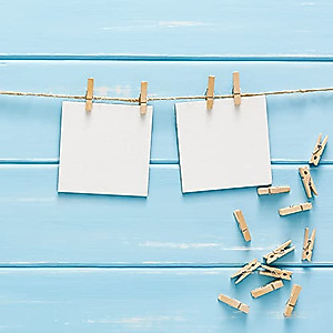 NUTJAM 100 Pack Mini Clothespins, Mini Clothes Pins, Wooden Small Clothes Clips for Photos, Clothesline, Bag, Crafts, Art Wall, Pictures