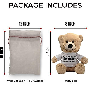 Sorry I'm An Idiot" 10" Teddy Bear with Gift Bag - Cute Funny Apology Plush for Girlfriend, Boyfriend, Best Friend