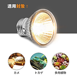 Pilipane Tortoise Heat Lamp Tortoise Bulb, 75W Reptile Heating Bulb for Lizards, Snakes, Aquarium Aquarium Reptile Amphibian, Terrarium Heat Lamps and surroundings Lighting for Pet Supplies 110V