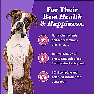 Halo Purely for Pets Holistic Dog Food, Complete Digestive Health Grain Free Cage-Free Turkey and Sweet Potato Recipe, Healthy Weight Support, Dry Dog Food Bag, Adult Formula, 3.5-lb Bag