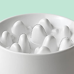 Raised Slow Feeder Cat Bowl, Fish Pool Design Elevated Slow Feeder Dog Bowls, Fun Interactive Bloat Stop Cat Slow Feeder Dry Food, Reduces Neck Burden Slow Down Eating Anti Vomiting Non-Slip No Spill