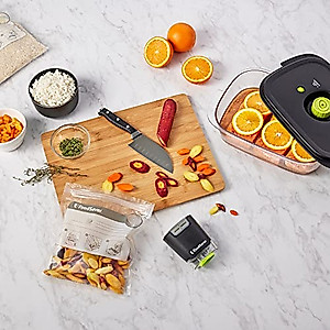 FoodSaver FS2160 Multi-Use Handheld Vacuum Sealer And Marinator, 2146039