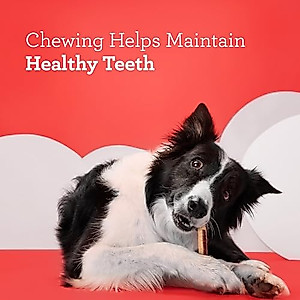 DreamBone DreamSticks, Treat Your Dog to a Chew Made WIth Real Chicken and Vegatables, 5 Count