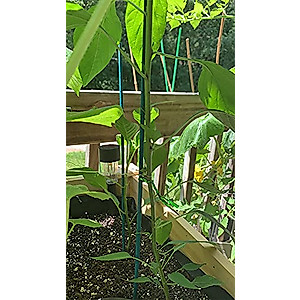 Garden Wood Stakes,HOUNANG Green Bamboo Plant Support Stakes,Flower/Orchid/Tomato Wooden Stakes for Gardening,Plant Stakes and Supports for Potted Plants - 25Pcs 18 Inches