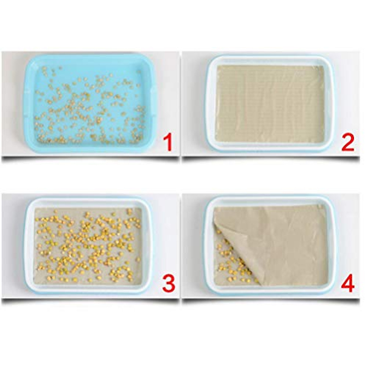 Happyyami Seed Growing Tray Multifunctional Broccoli Wheatgrass Alfalfa Seed Sprouting Soilless Culture Tray Double Layer Germination Planter with Paper for Home Sky Blue