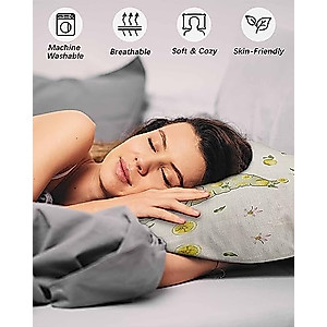 Edwiinsa Summer Lemon Pillow Covers Standard Size Set of 2 20x26 Bed Pillow, Rustic Spring Floral Gnomes Plush Soft Comfort for Hair/Skin Cooling Pillowcases with Envelop Closure