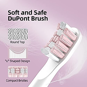 XFU Sonic Toothbrushes for Adults and Kids, 3 Brush Heads, with 5 Modes and IPX7 Waterproof, Battery Electric Toothbrush Build in 2 Mins Timer 40,000 VPM XF-11 Pink