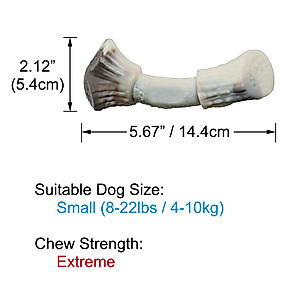 SKYAPUP Dog Chew Toys for Aggressive Chewers: Puppy Teething Toys Long Lasting Nylon Bone for Small Breed - Tough Antler Shape